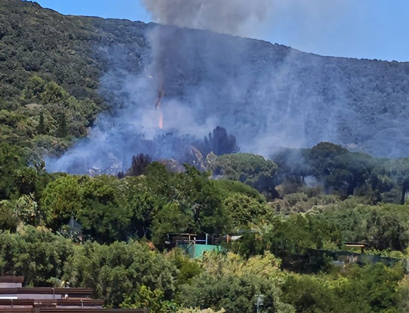Incendio sospinto dal vento alle spalle delle case | Cronaca PIOMBINO