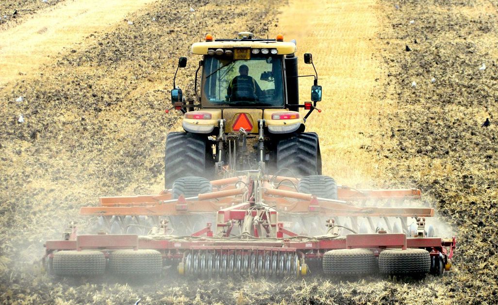 Under 40 alla guida di una nuova azienda agricola su 3 | Attualità TOSCANA