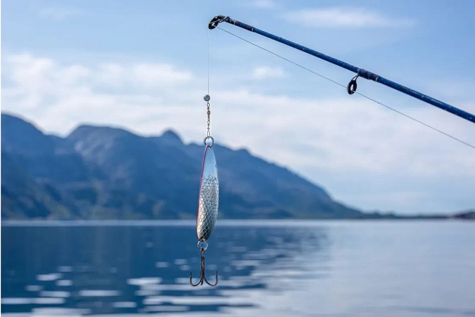 Pesca fluviale: quali strategie per ottimizzare la lettura delle acque ...