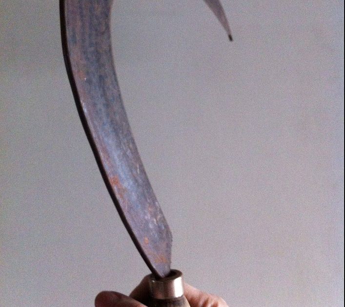 Lite per l'orto e la prende a colpi di falcetto | Cronaca REGGELLO