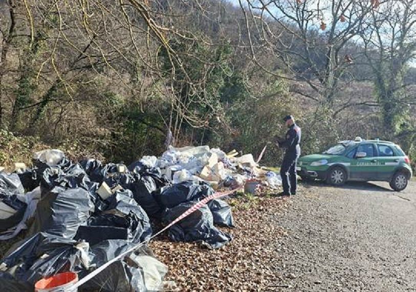 Una distesa di sacchi neri abbandonati nel bosco | Cronaca SAN CASCIANO ...