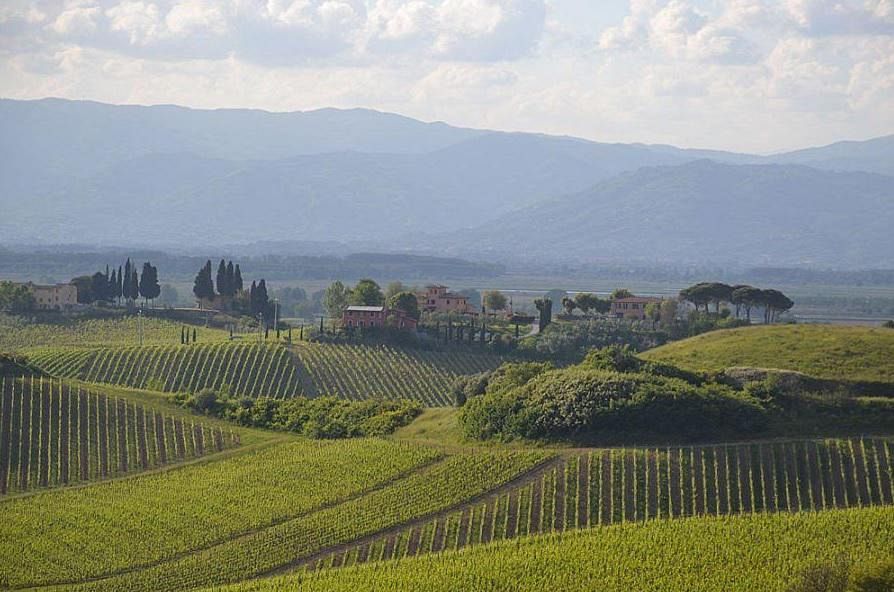 Agroalimentare, nelle aree interne una cooperativa su due | Attualità ...